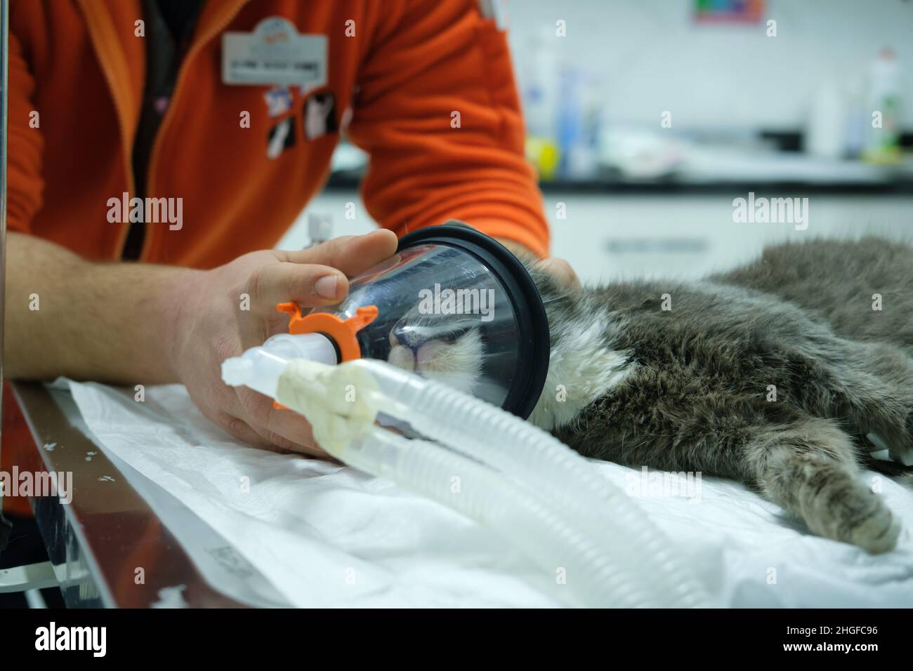 Wound infection operation hi-res stock photography and images - Alamy