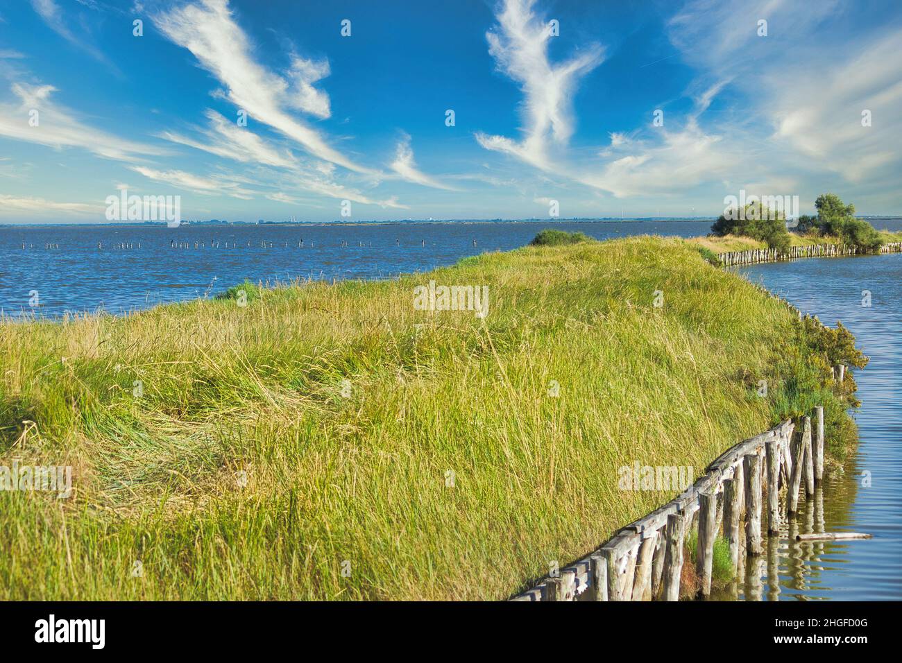 Natural reserve in Po river Delta park appointed World heritage site ...