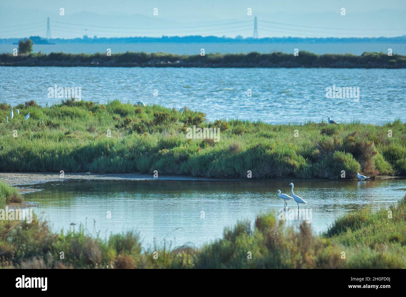 Natural reserve in Po river Delta park appointed World heritage site ...