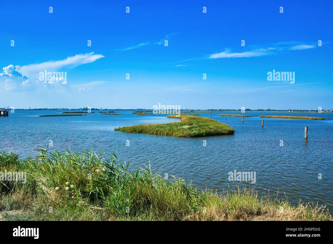 Natural reserve in Po river Delta park appointed World heritage site ...