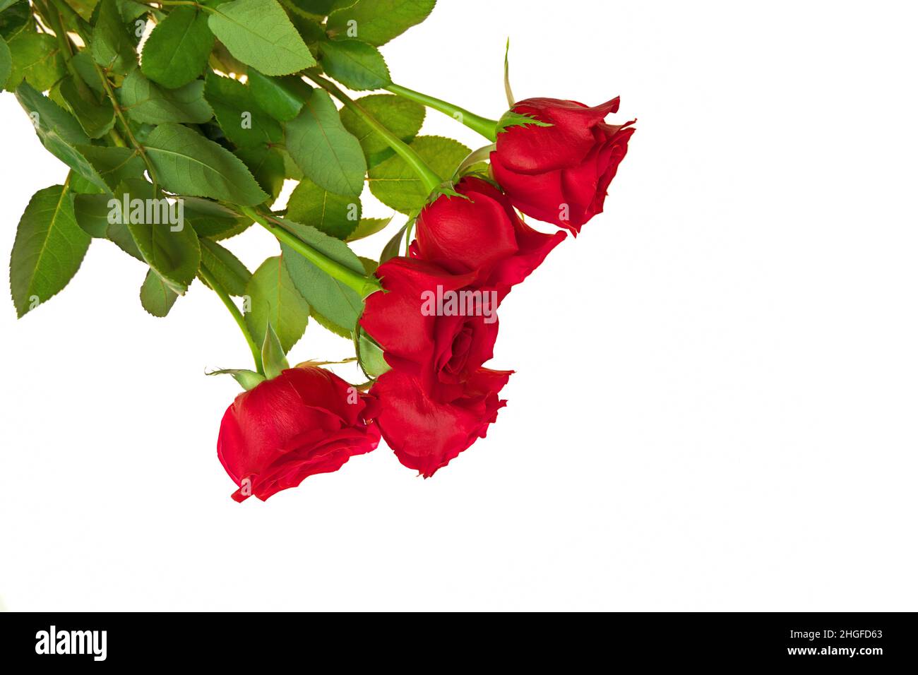 Directly Above Overhead View of Red Rose Bouquet Isolated on a White ...
