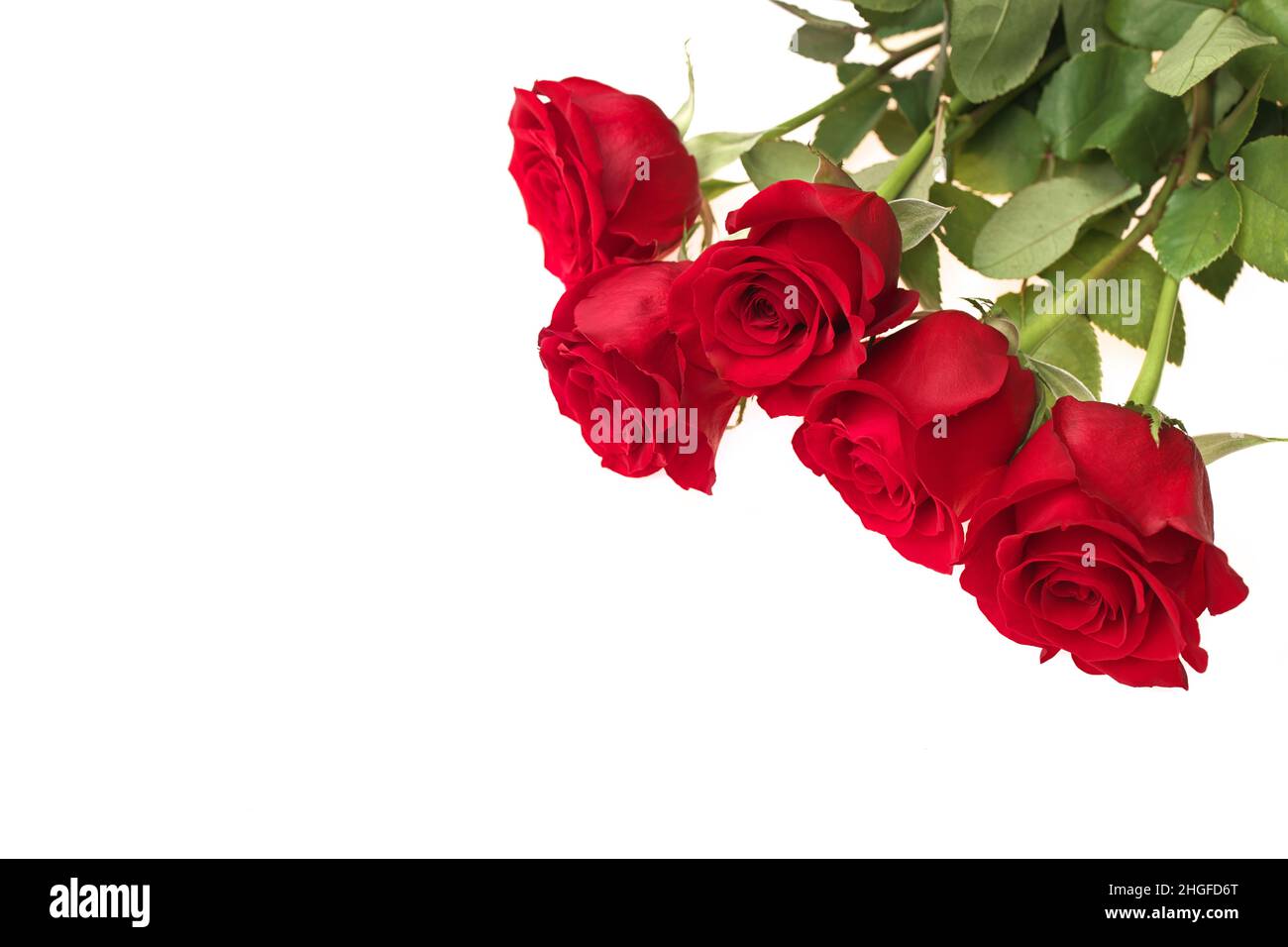 Low Angle View of Red Rose Bouquet on a White Background. Copy space ...