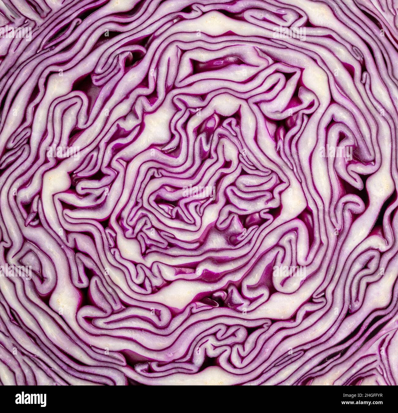 Cabbage texture hi-res stock photography and images - Alamy