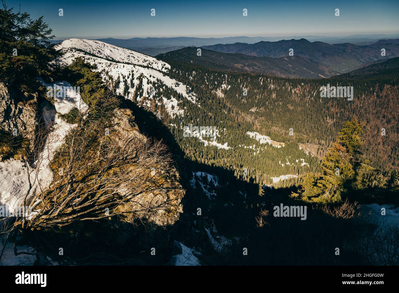 Mountains, coniferous forest in the snow, spring, winter Stock Photo ...