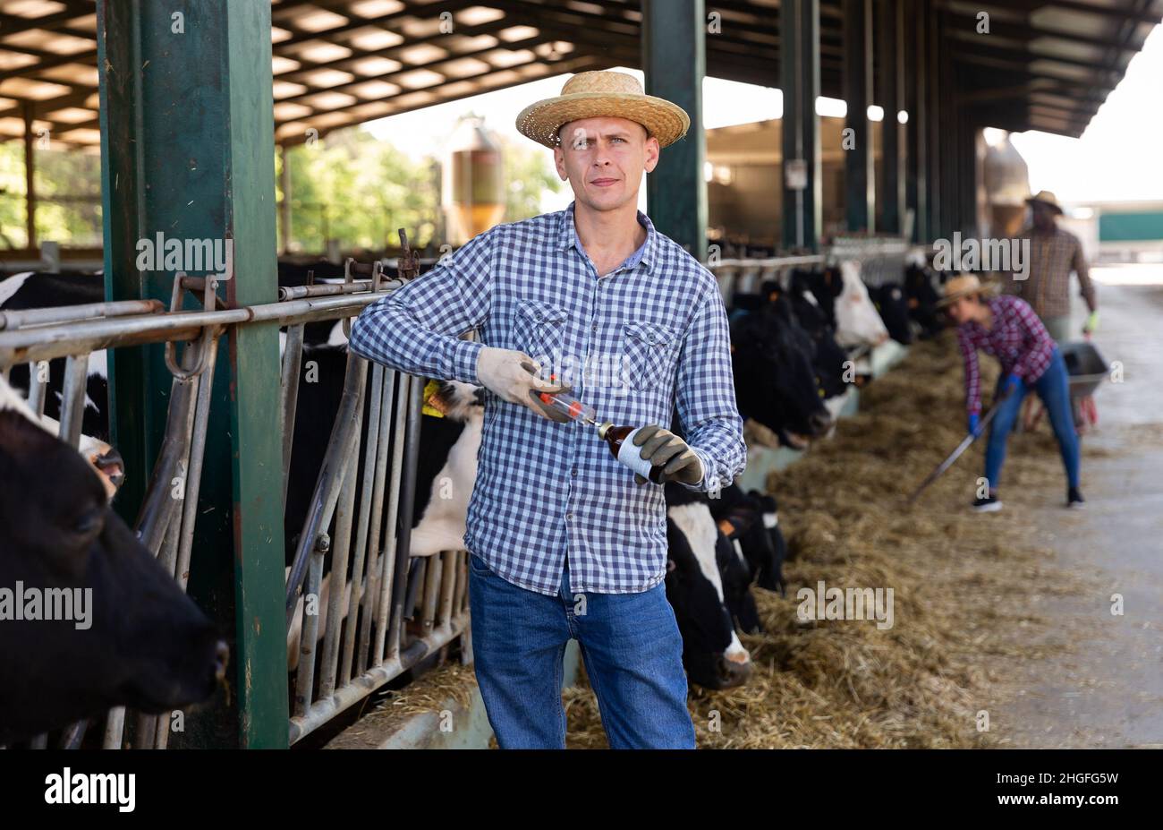 Dairy farm worker standing in cowshed with syringe Stock Photo - Alamy