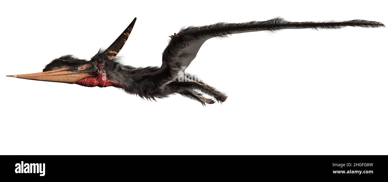 Pteranodon Sentinel with fur in flight. Flying dinosaur in the ...