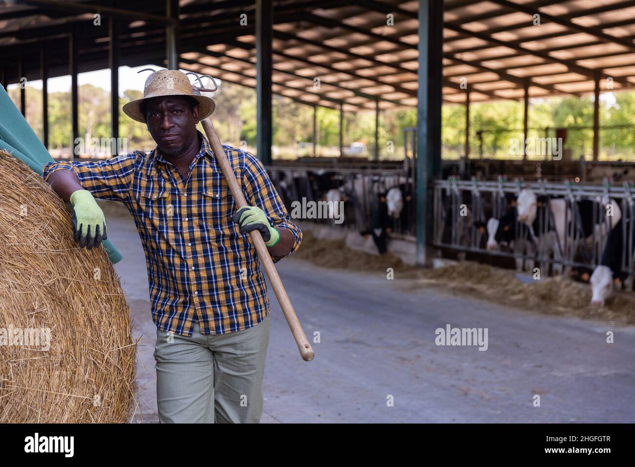 African milk factory hi-res stock photography and images - Alamy