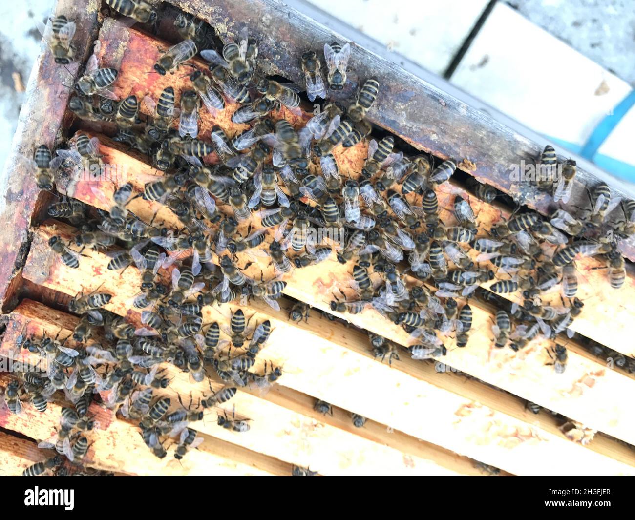 Beehive hive hi-res stock photography and images - Alamy