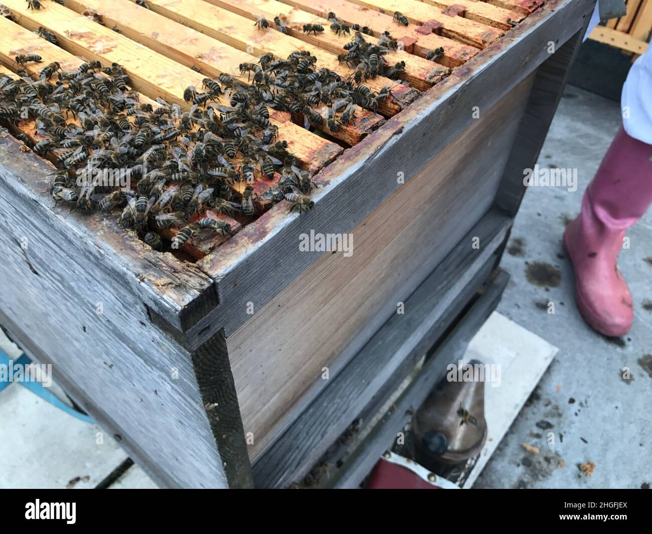 Beehive hive hi-res stock photography and images - Alamy