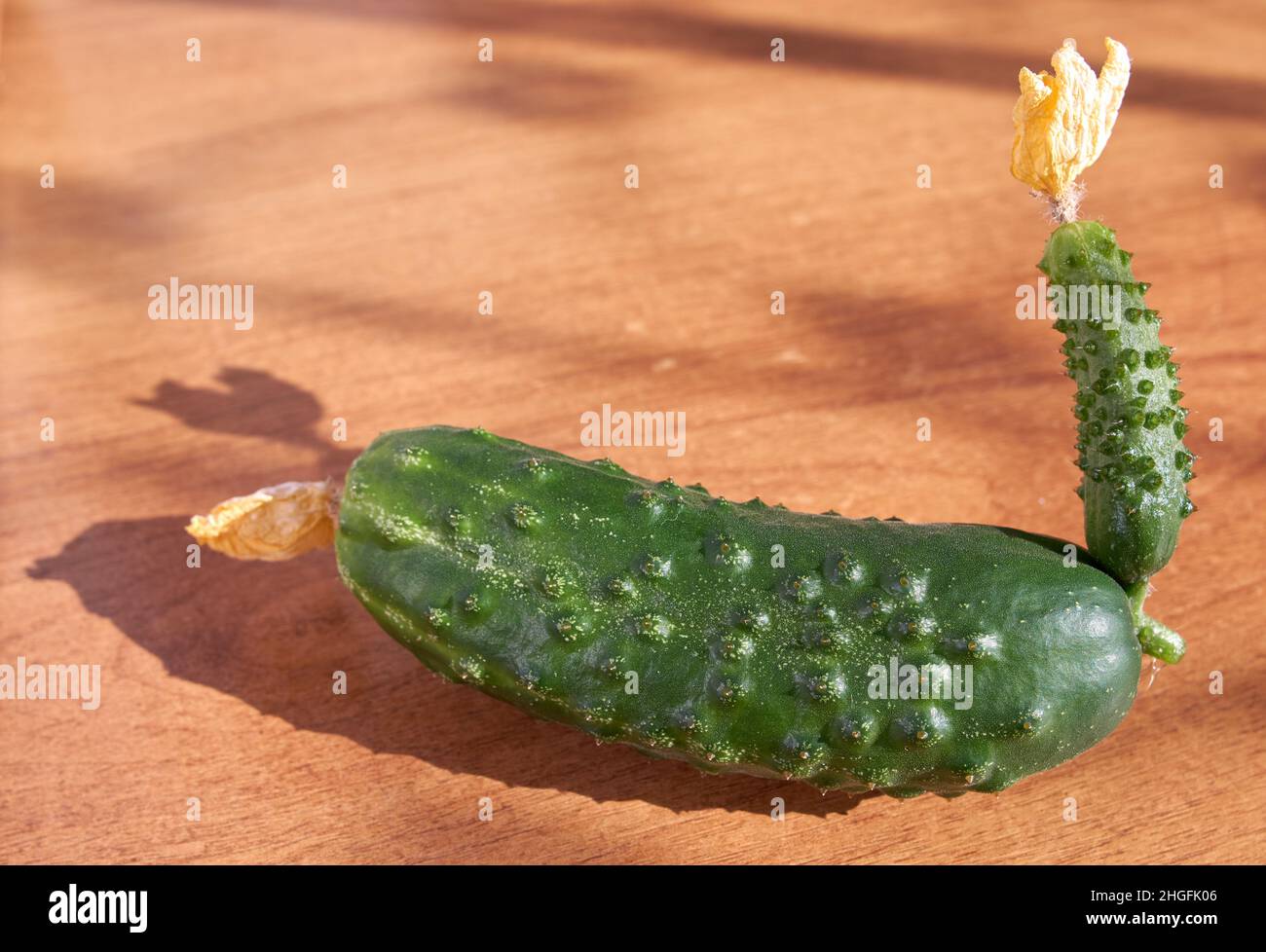 Strange cucumber hi-res stock photography and images - Alamy