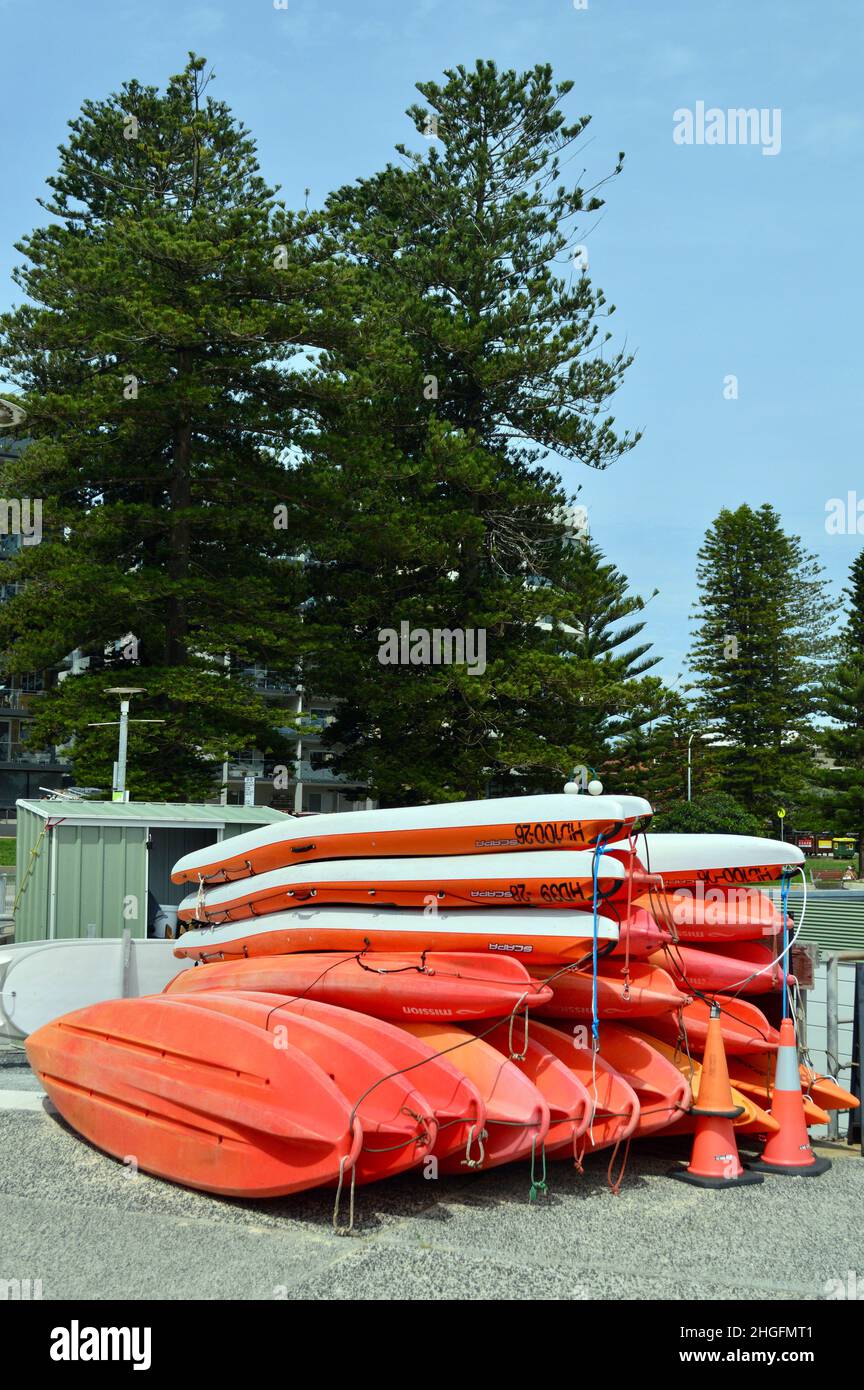 A row of surfboards sitting on a bench Stock Photo - Alamy