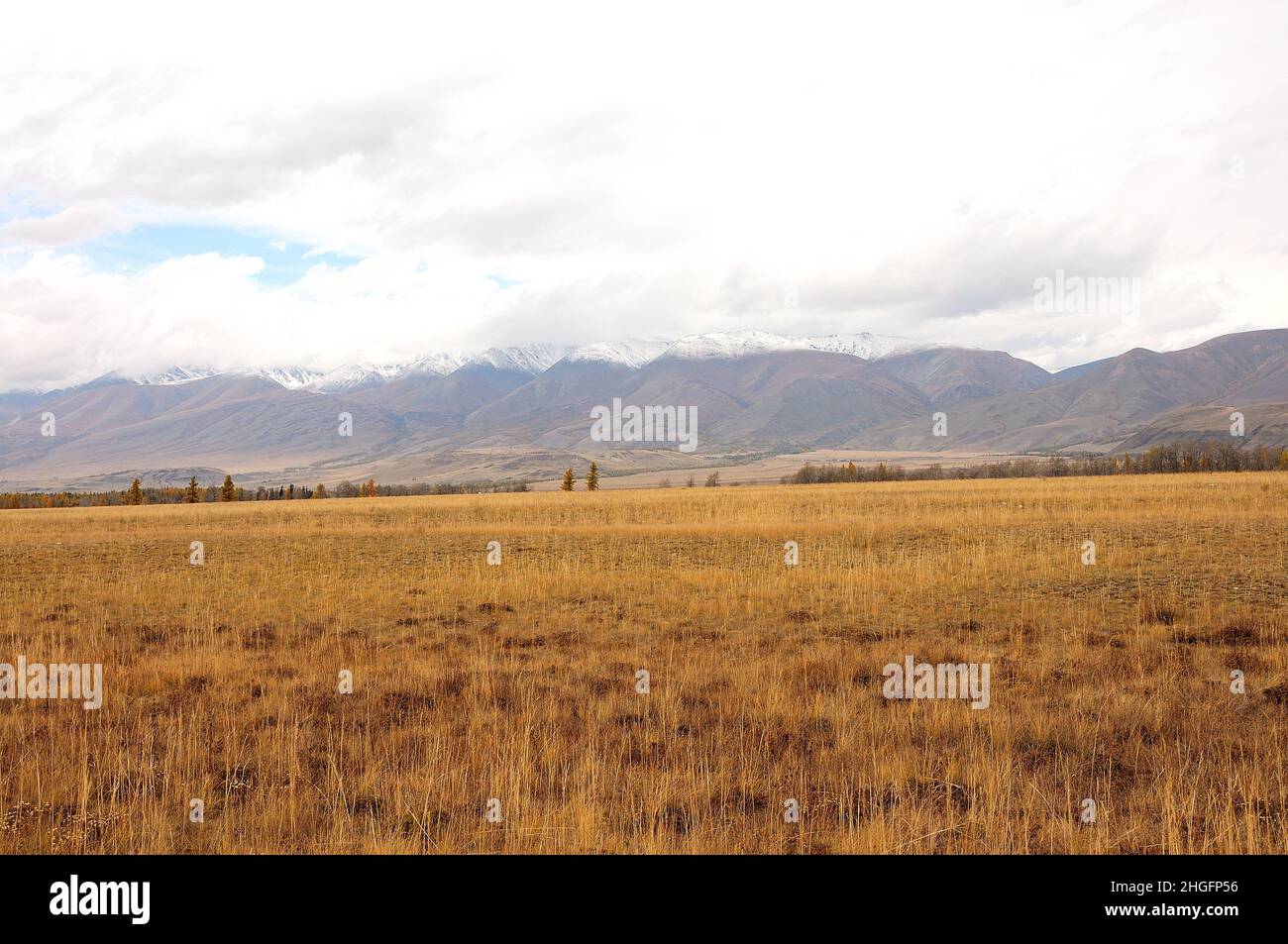 Endless autumn steppe with dry grass and a mountain range with peaks in ...
