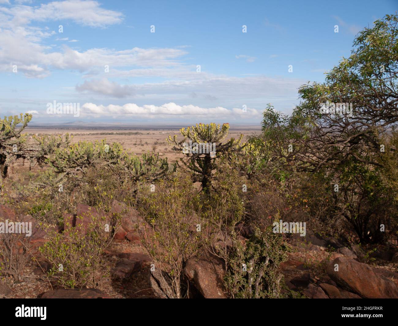 Maji moto hi-res stock photography and images - Alamy