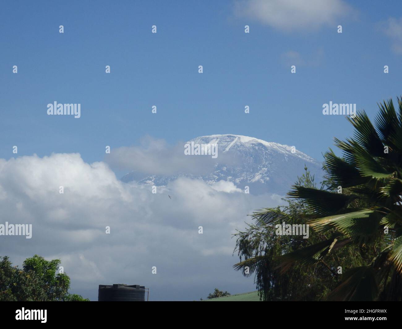 View of Mount Kilimanjaro from Moshi, Tanzania Africa Stock Photo - Alamy