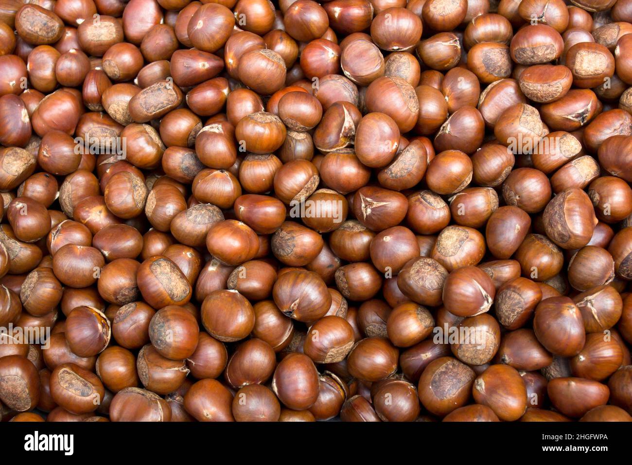 Chinese chestnut hi-res stock photography and images - Alamy