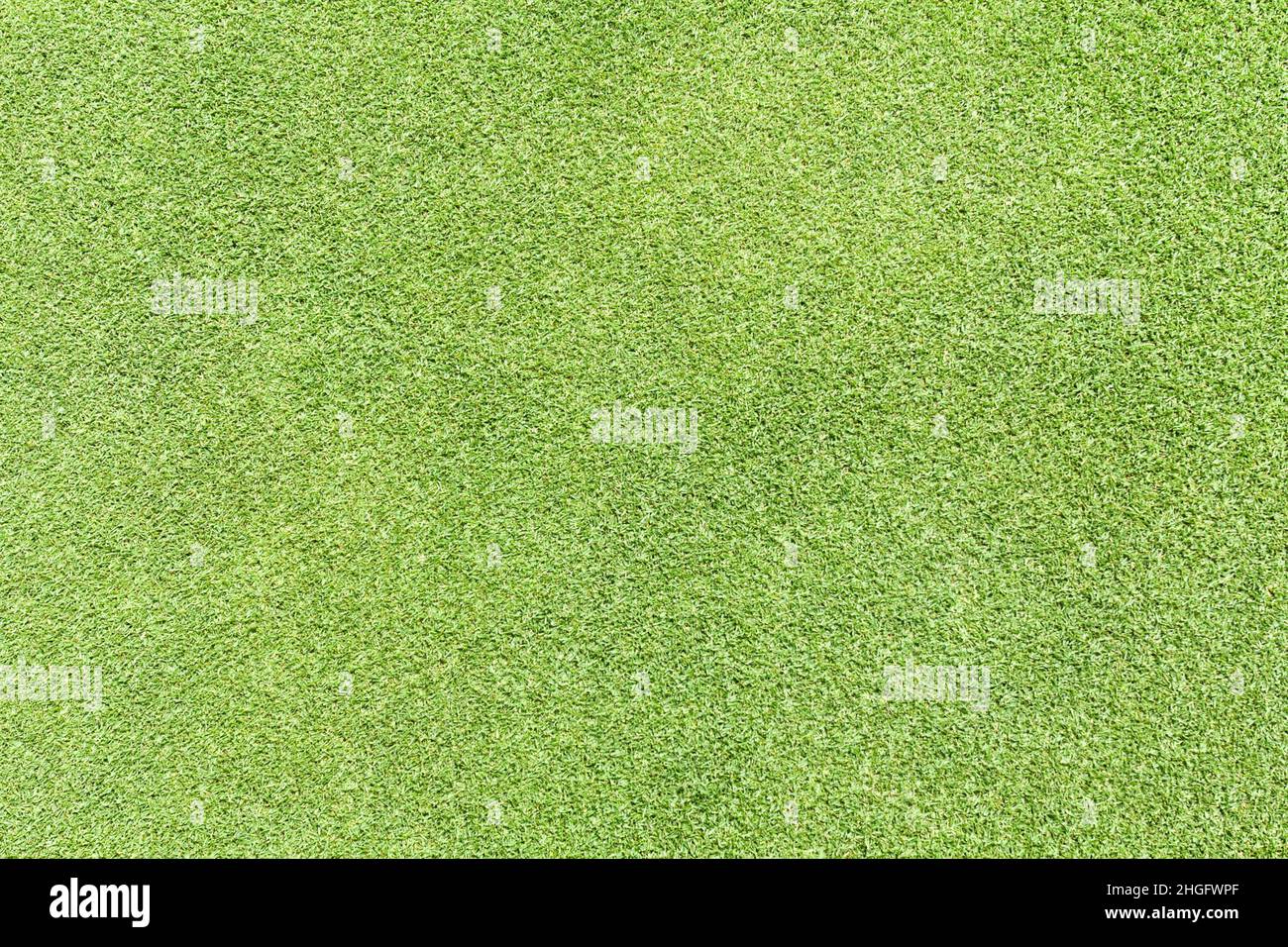 Green grass background golf hi-res stock photography and images - Alamy