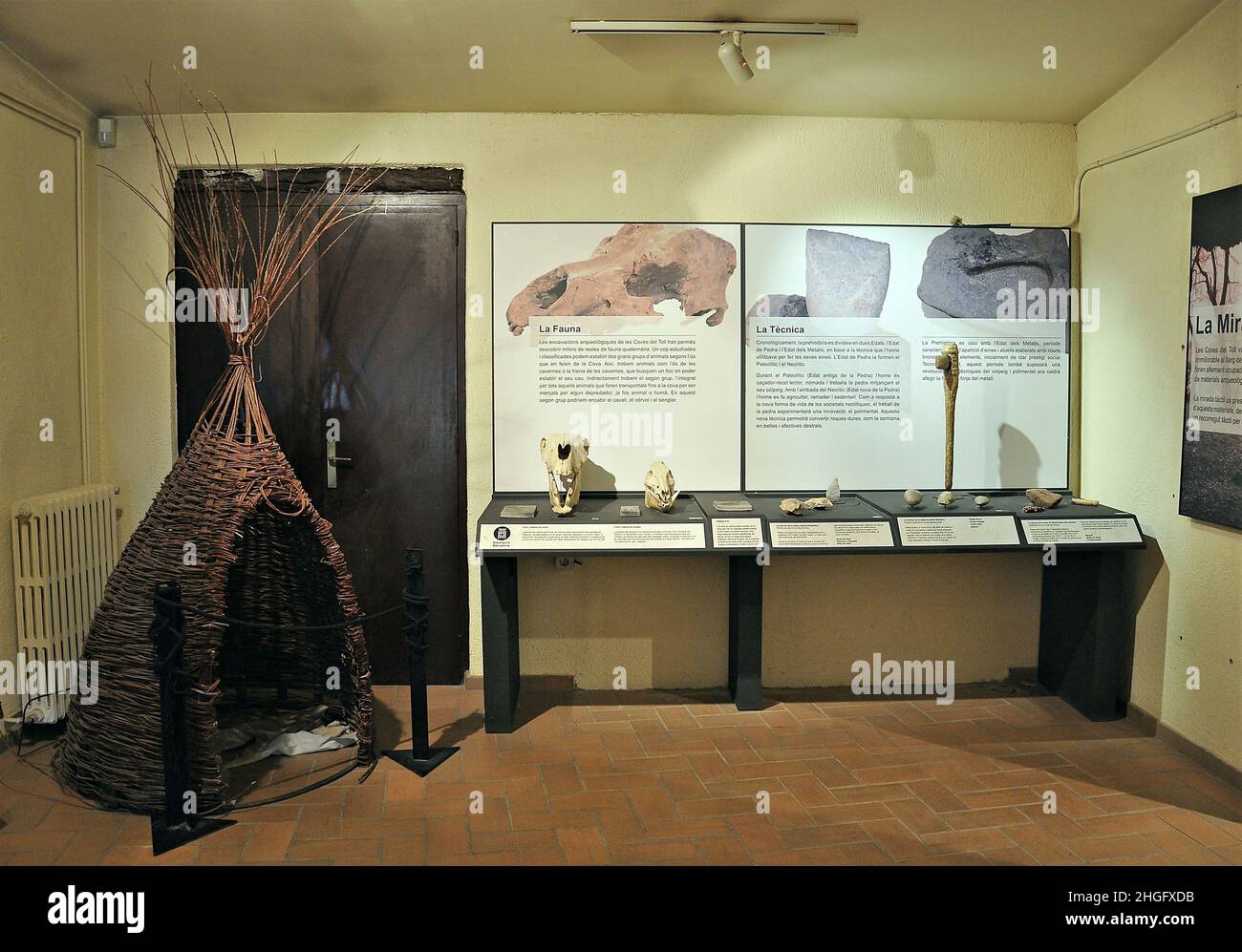 Archaeological and Paleontological Museum Toll caves in Moià in the ...