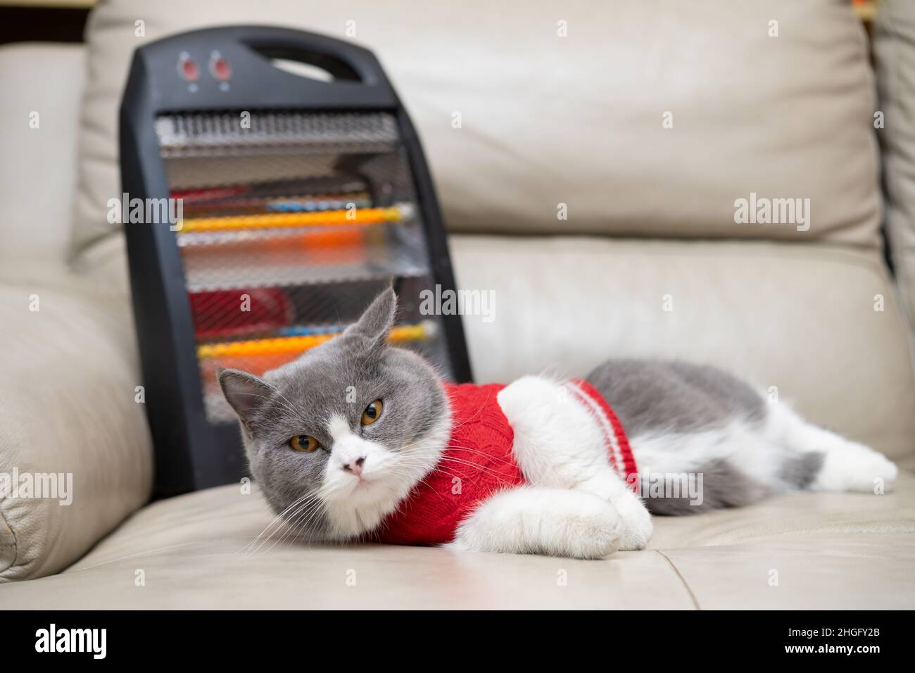 Cat on heater hi-res stock photography and images - Alamy