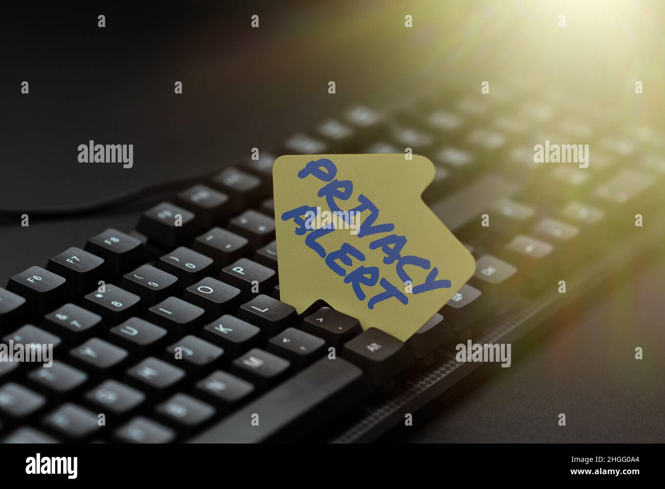 Hand writing sign Privacy Alert, Concept meaning warns the user from ...