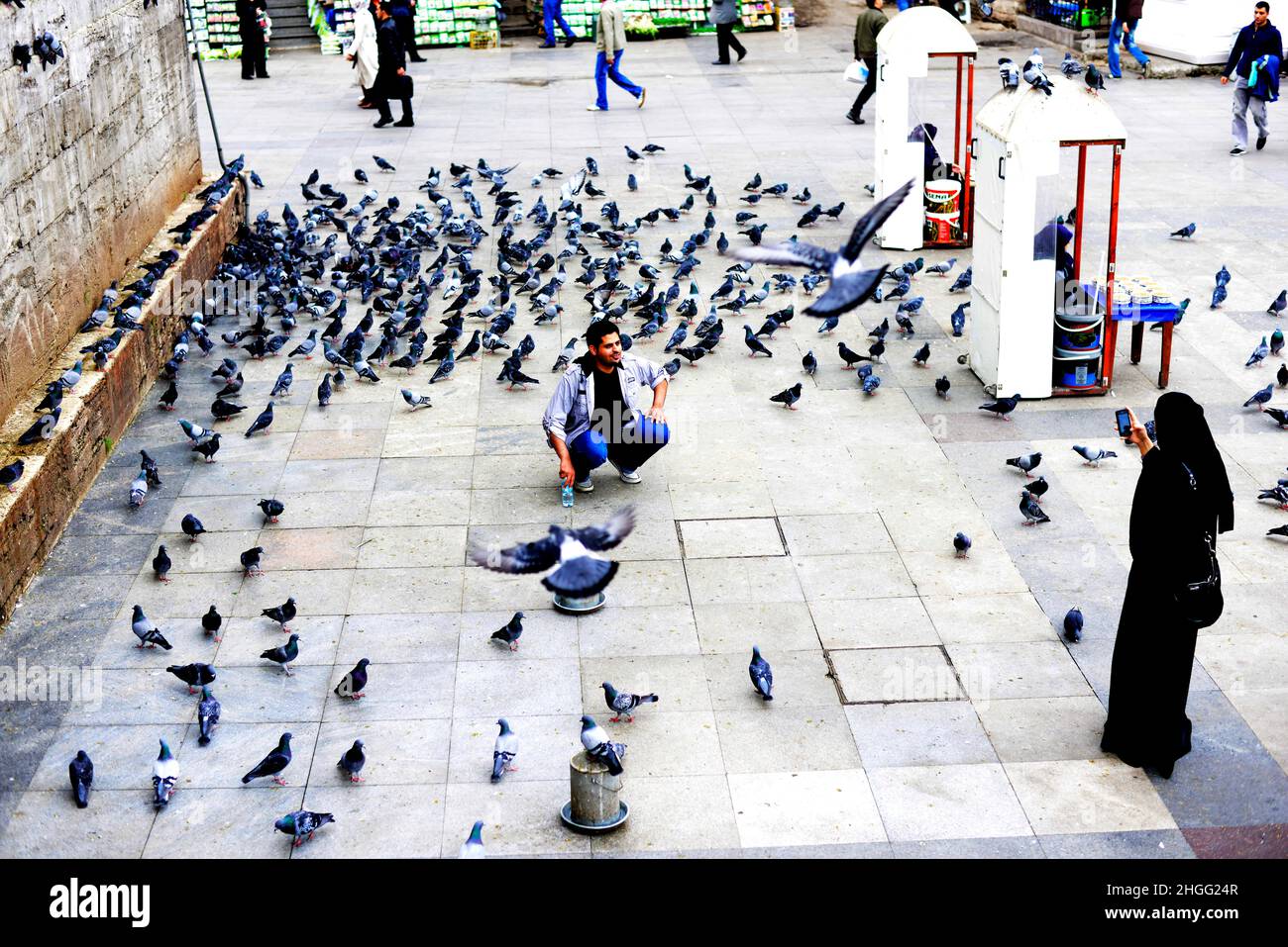 Pigeons by the New mosque in Istanbul, Turkey Stock Photo - Alamy