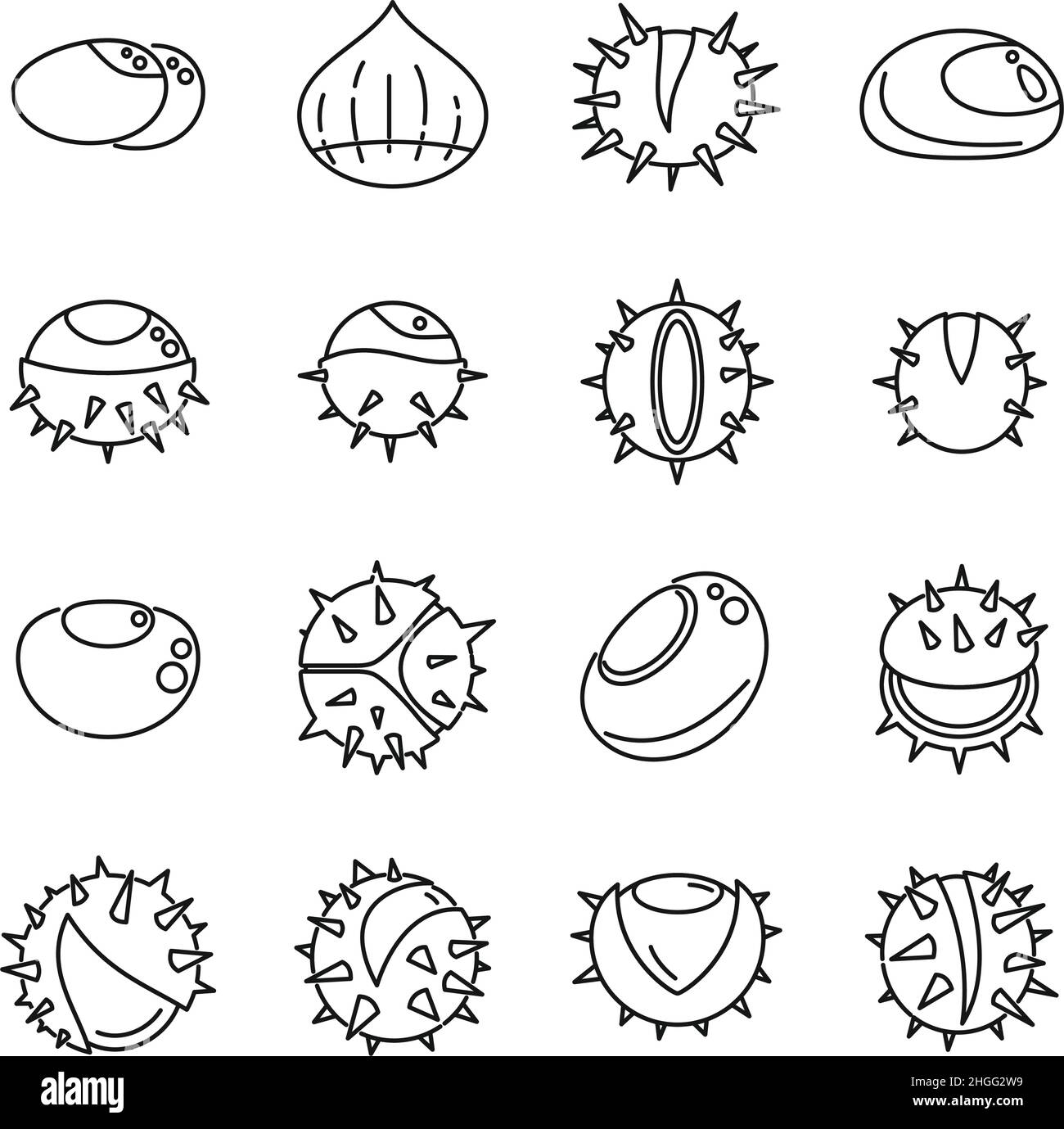 Chestnut icons set outline vector. Horse food. Autumn tree Stock Vector ...