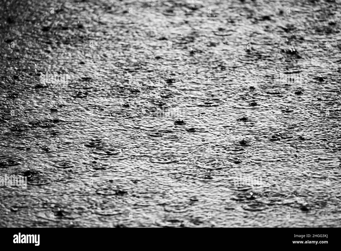 Abstract monochrome image of raindrops hitting the water surface of a ...