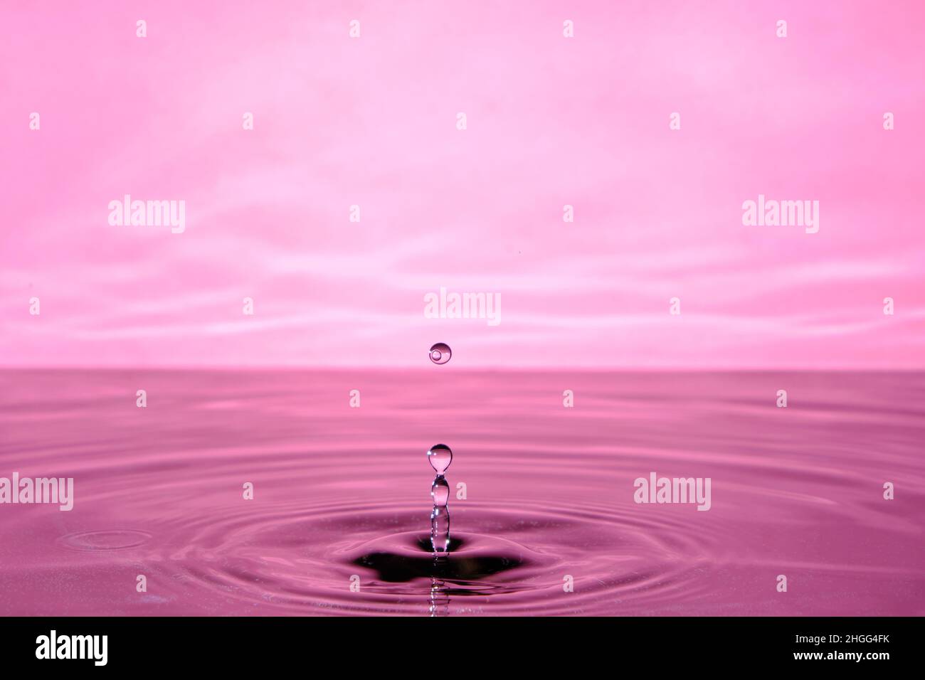 Splash water after drop falls.Pink abstract background with drop in ...