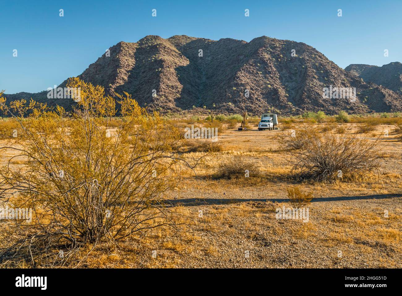 Camper at Margies Cove West Campground, creosote bush, desert scrubland ...