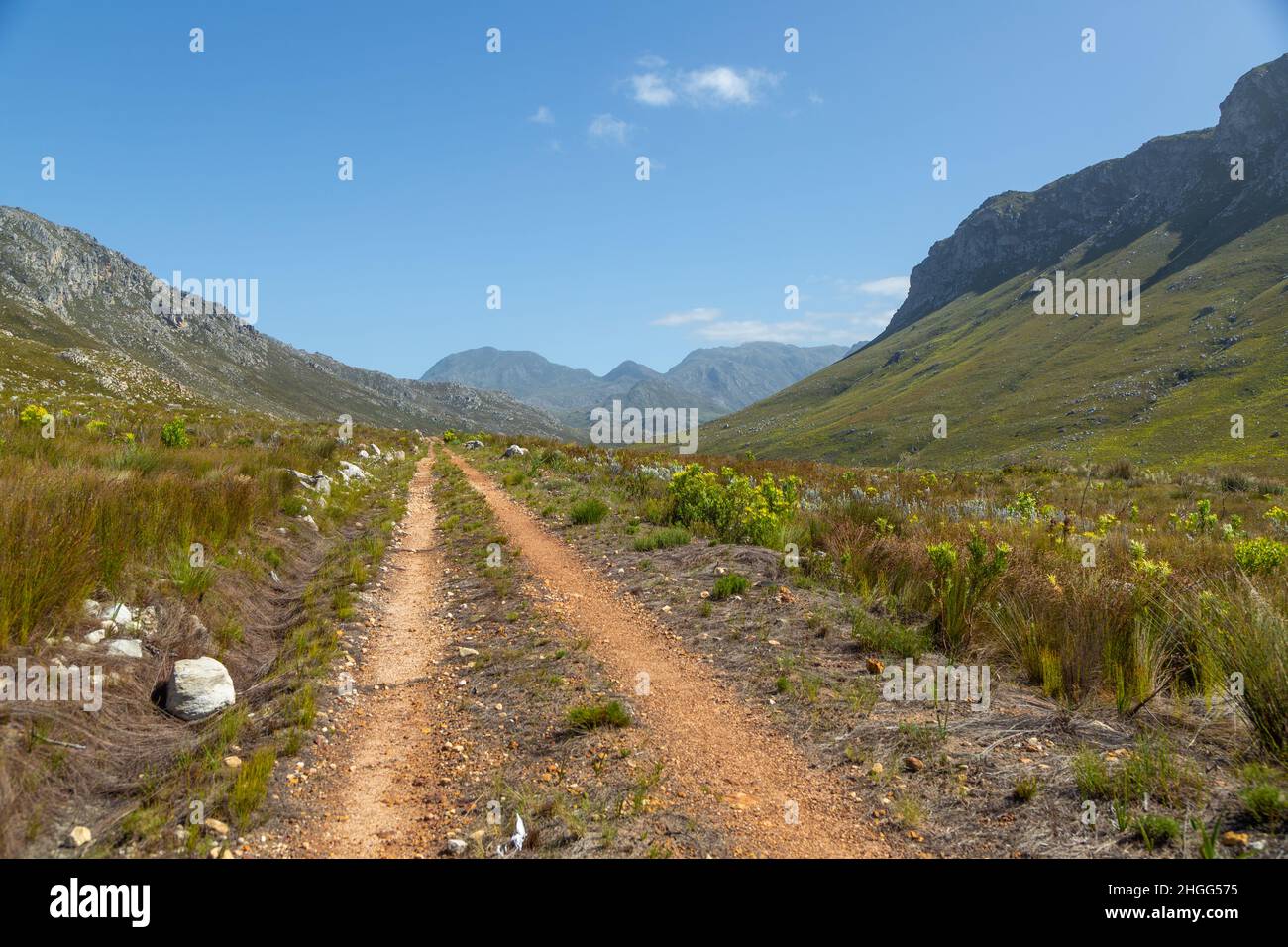 Small path in the Kogelberg Nature Reserve in the Western Cape of South ...