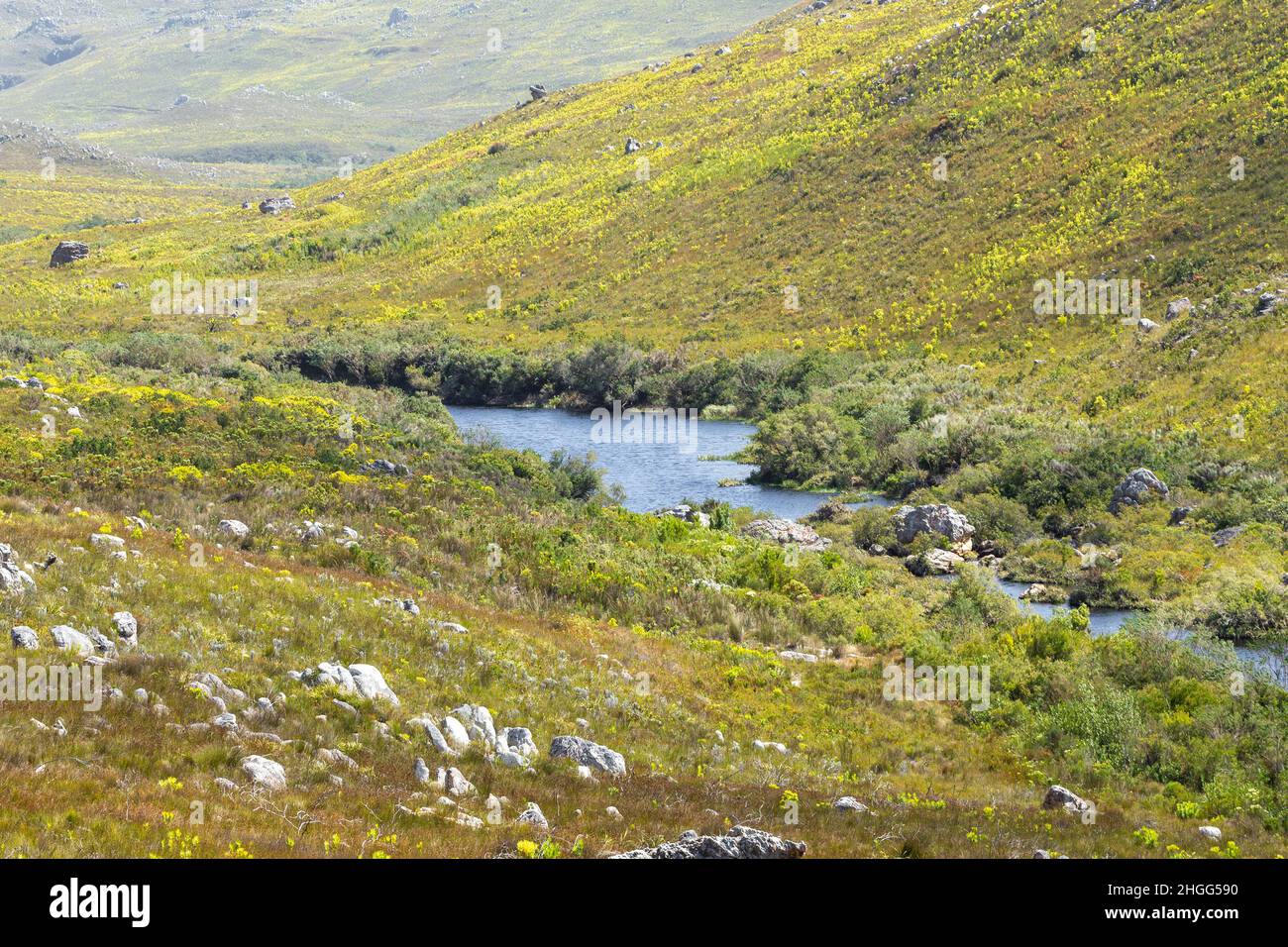Panorama on the Palmiet River in the Kogelberg Nature Reserve in the ...