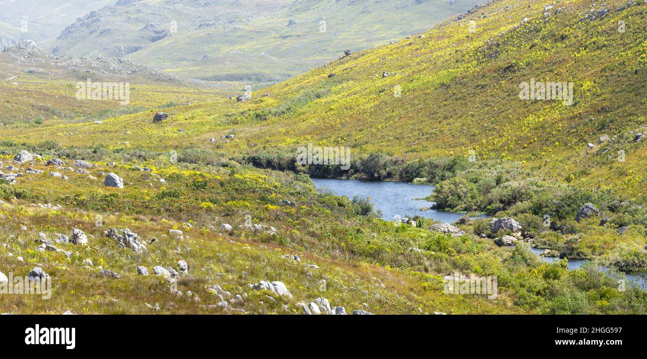 Look from a hiking trail on the beautiful Palmiet River in the ...