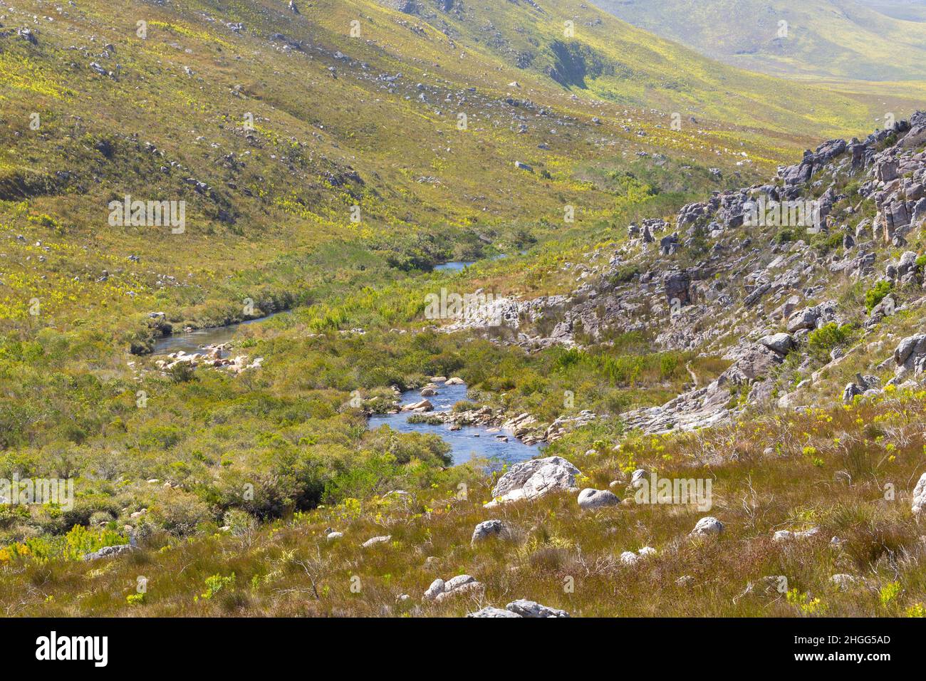 Mountains in the Kogelberg Nature Reserve with Palmiet River in the ...