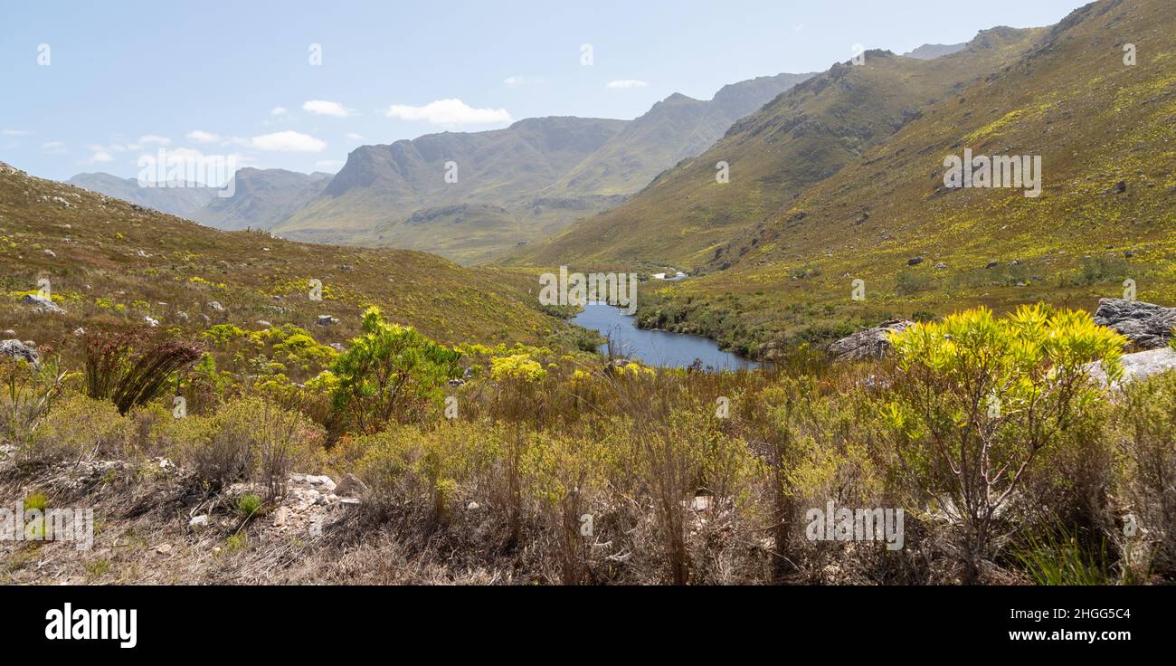The Palmiet River flowing through the Kogelberg Nature Reserve in the ...
