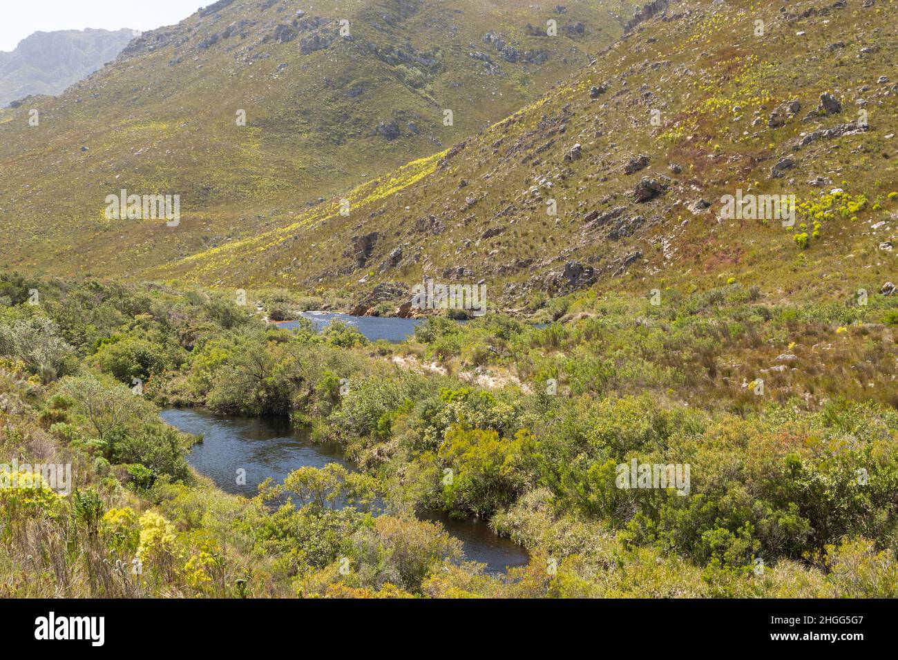 Valley in the Kogelberg with Palmiet River, Western Cape of South ...