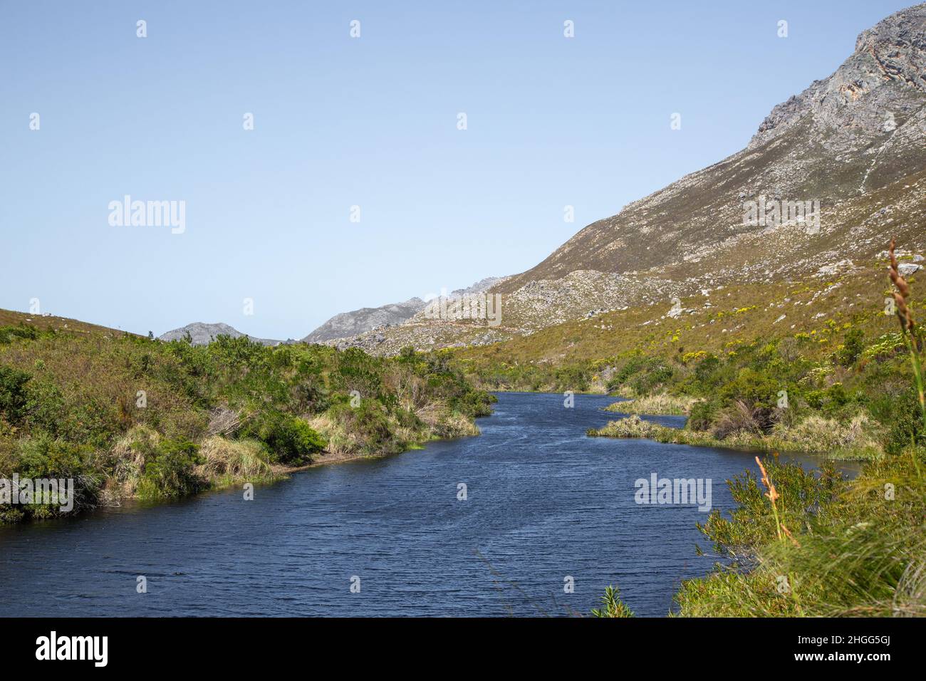 The Palmiet River in the Kogelberg Nature Reserve in the Western Cape ...