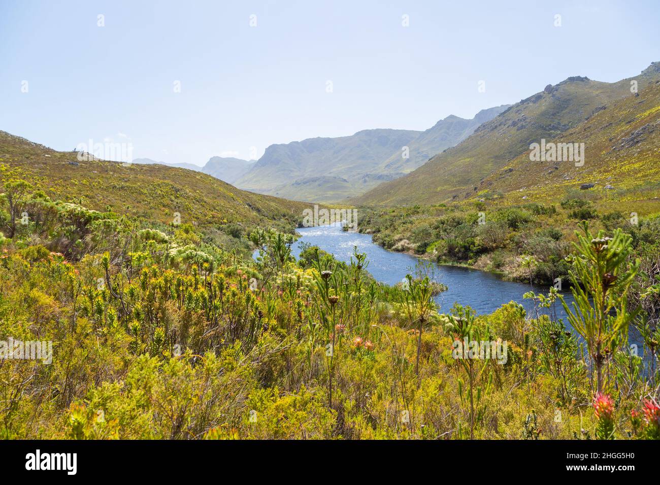 Looking into the Valley of the Palmiet River in the Kogelberg Nature ...