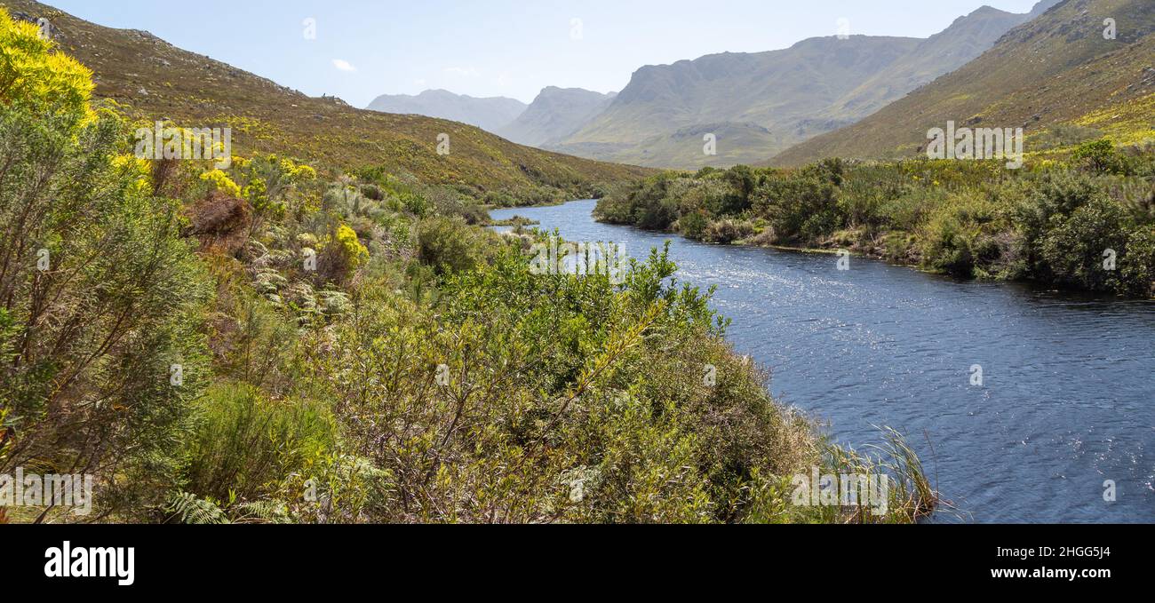 Beautiful landscape along the Palmiet River in the Kogelberg Nature ...