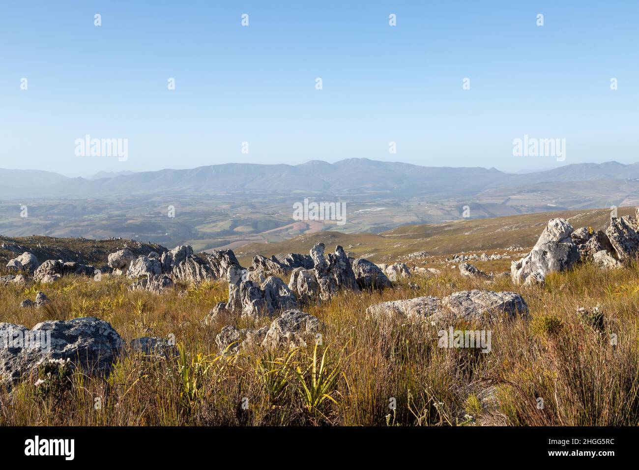 Rocks and stones in the fynbos of the Kogelberg in the Western Cape of ...