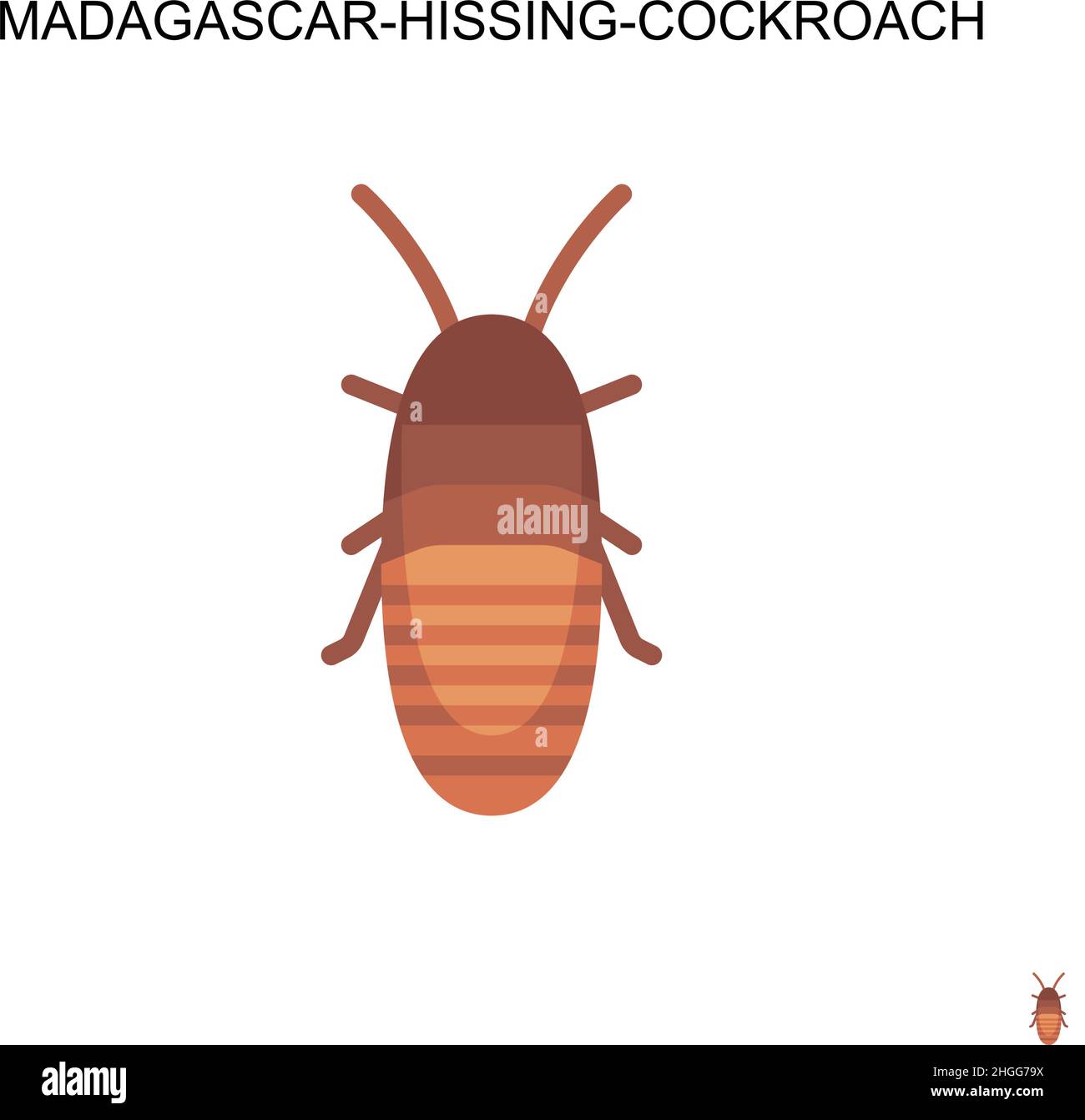 Madagascar-hissing-cockroach Simple vector icon.Perfect color modern ...