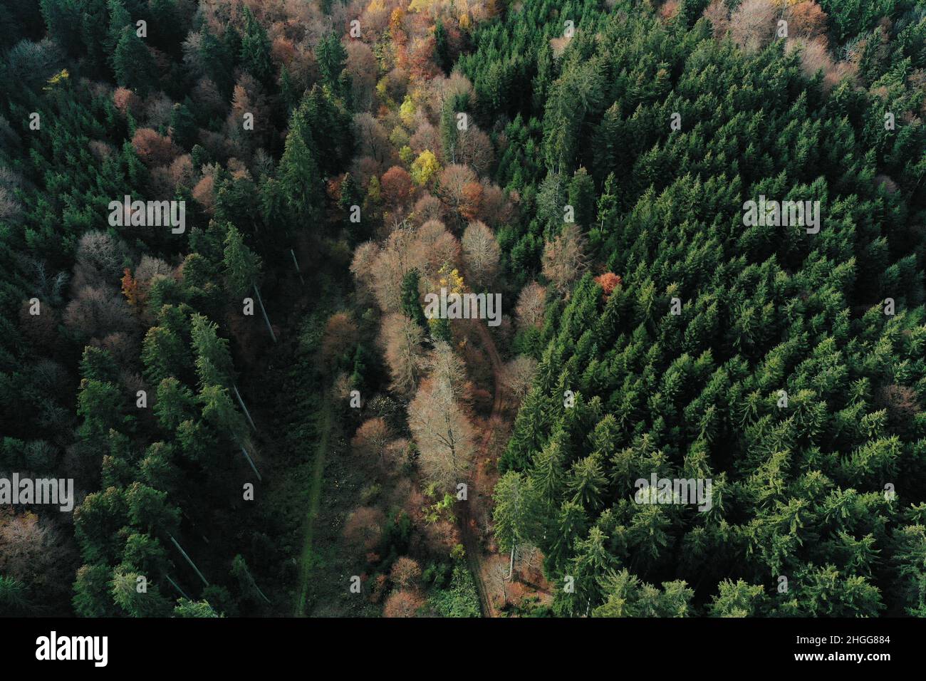 Top down autumn colors hi-res stock photography and images - Alamy