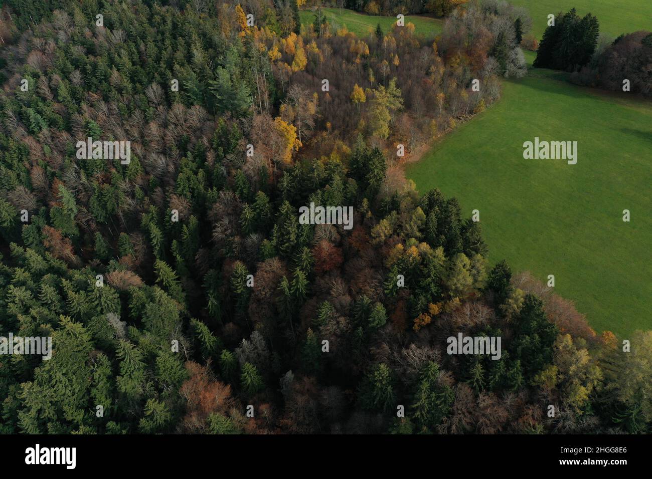 Power of the Autumn Colors Stock Photo - Alamy