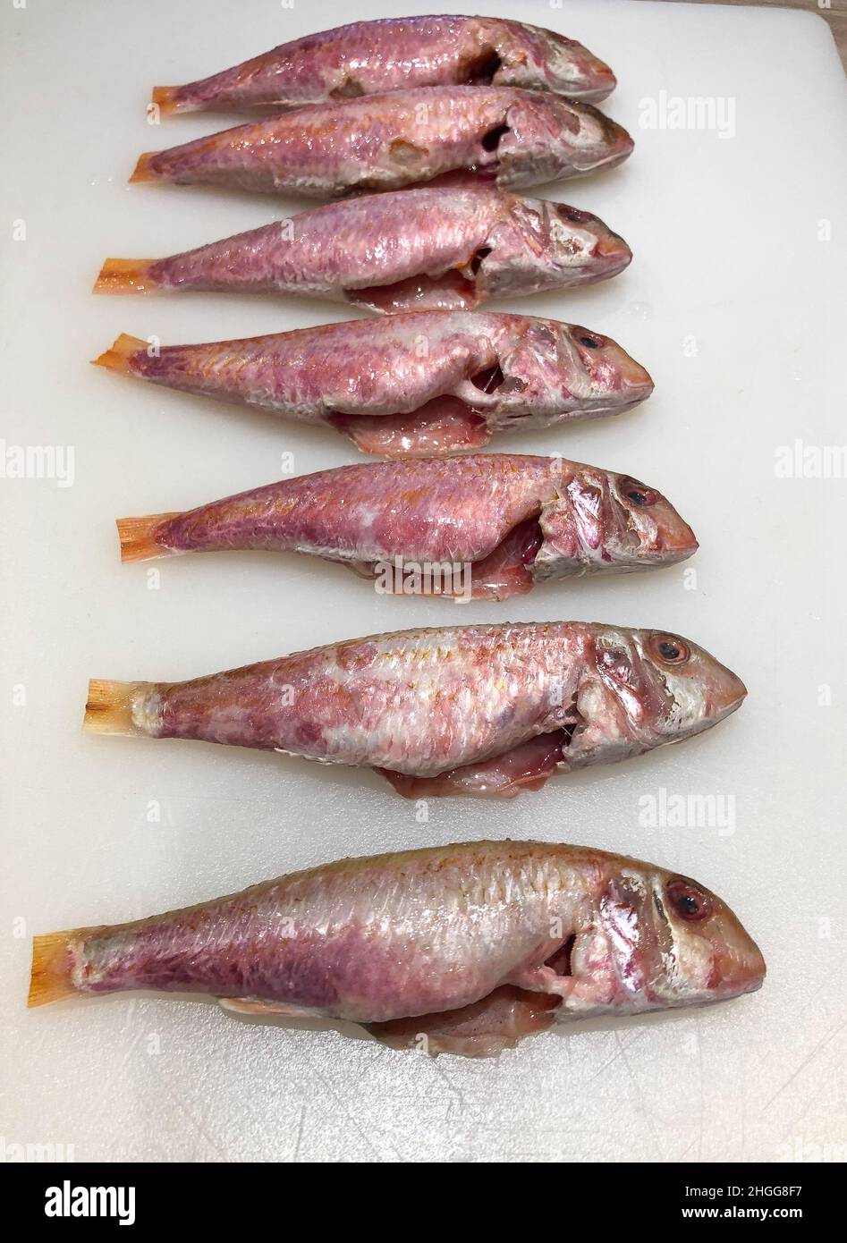 Raw red mullet fillets close-up on white background Stock Photo - Alamy