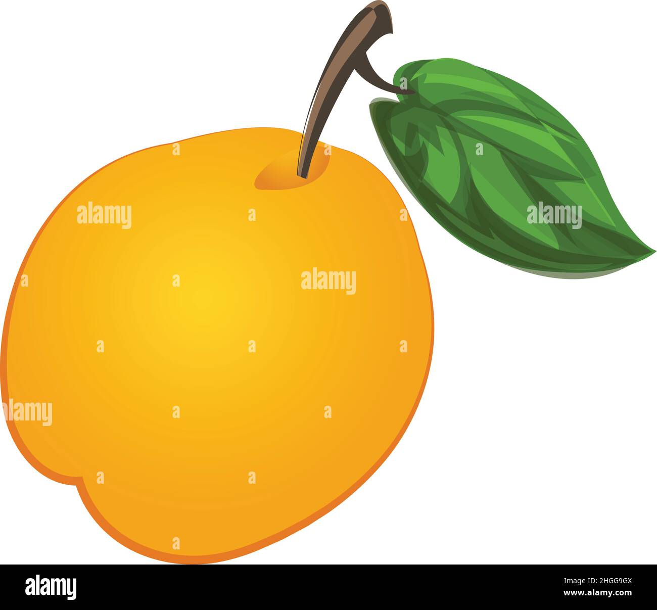 Whole apricot icon cartoon vector. Tree peach. Food fruit Stock Vector ...