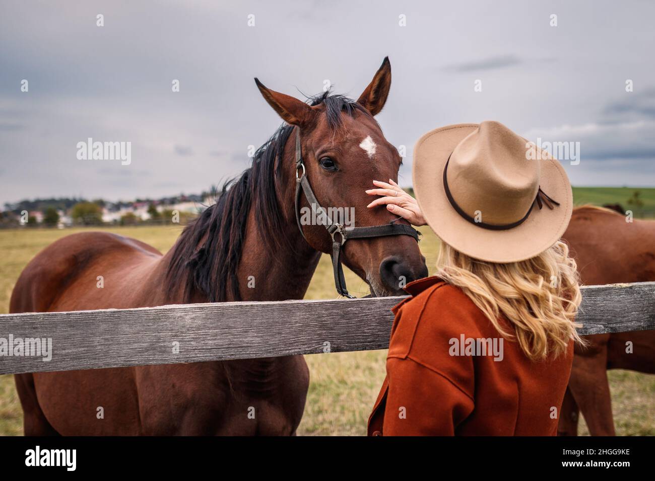 Cowgirl with her horse at ranch. Woman with cowboy hat at pasture in ...