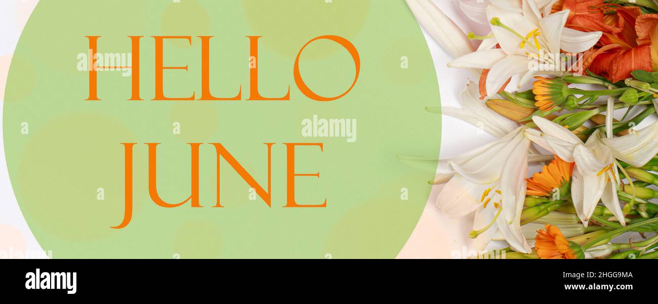 Bouquet of summer flowers and text hello June, banner view from above ...