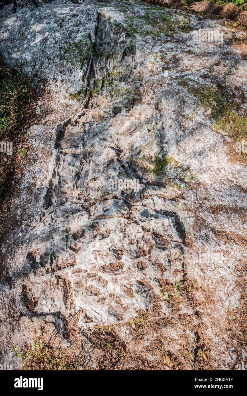 Neolithic times people hi-res stock photography and images - Alamy