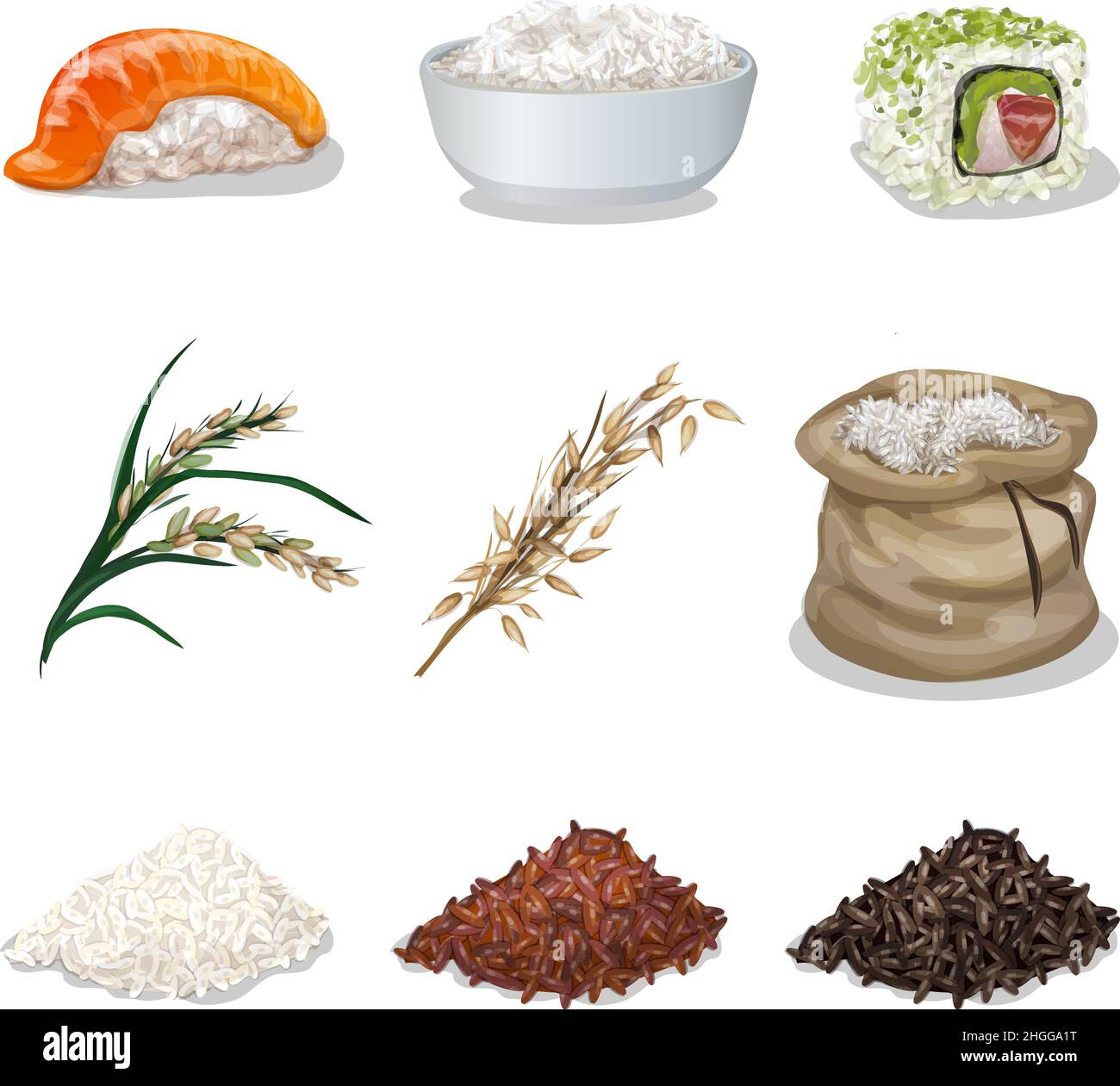 Rice icons set cartoon vector. Healthy flour. Thailand paddy rice Stock ...