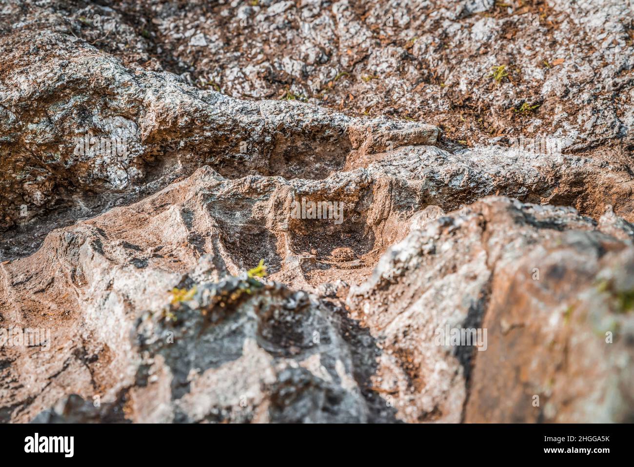 Neolithic times people hi-res stock photography and images - Alamy