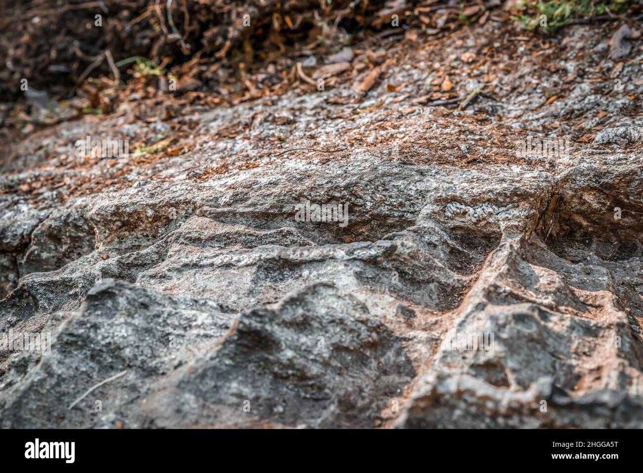 Neolithic times people hi-res stock photography and images - Alamy