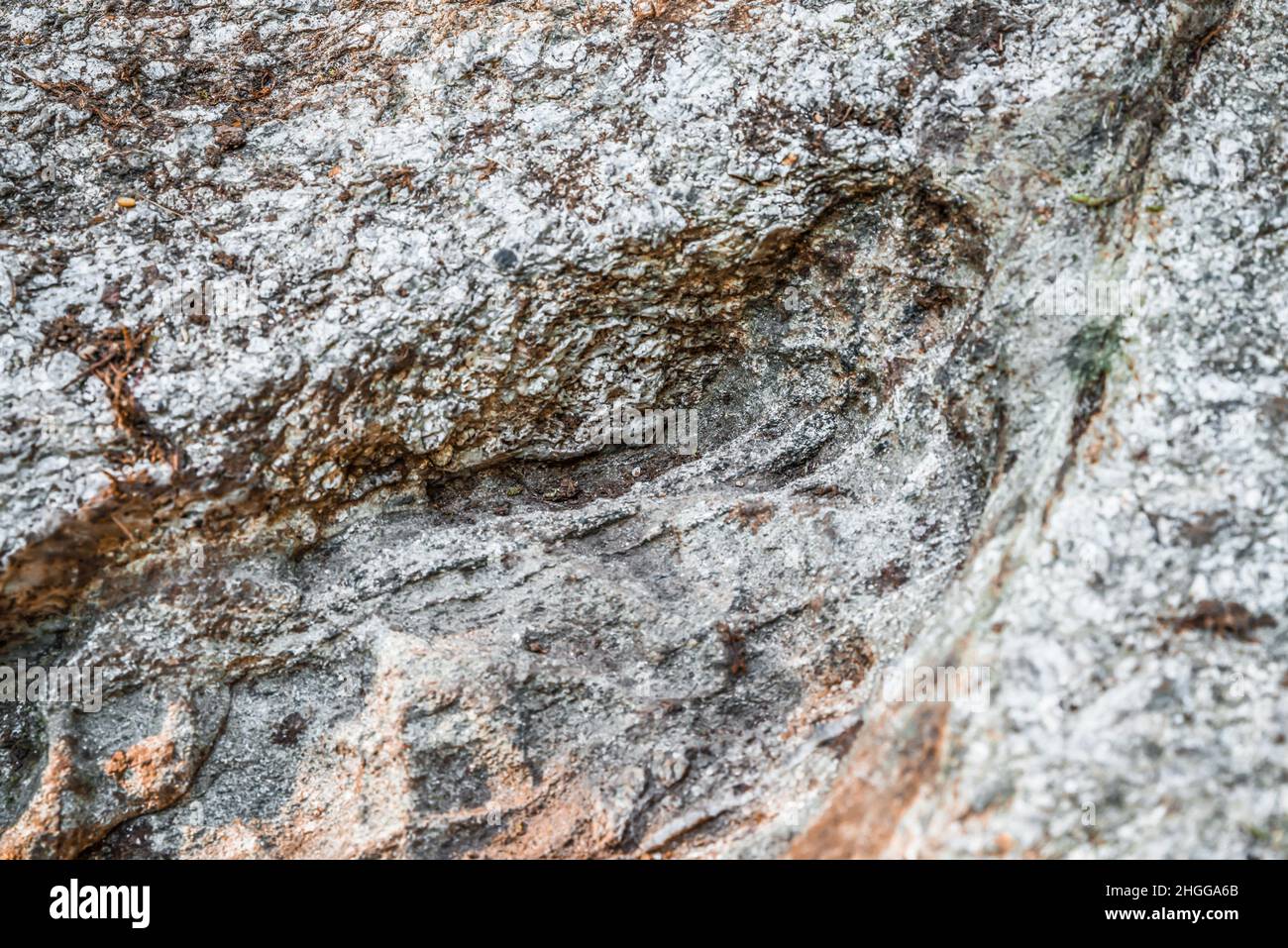 Neolithic times people hi-res stock photography and images - Alamy